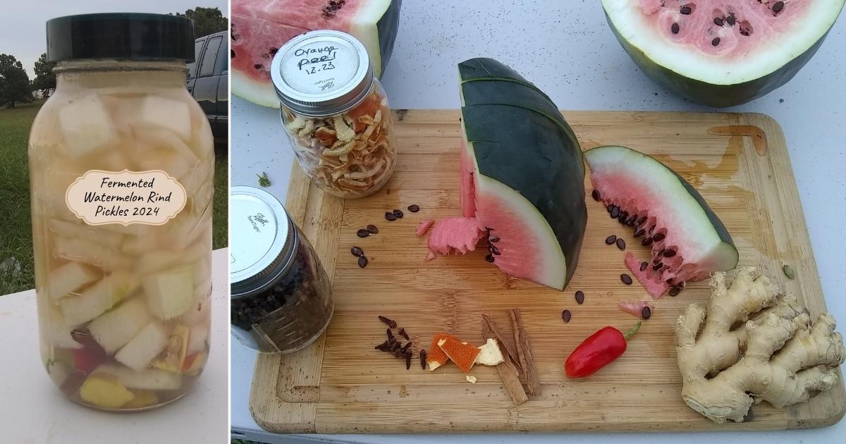Lacto-Fermented Vegetables, Benefits And Easy Basic Recipes – Food For ...
