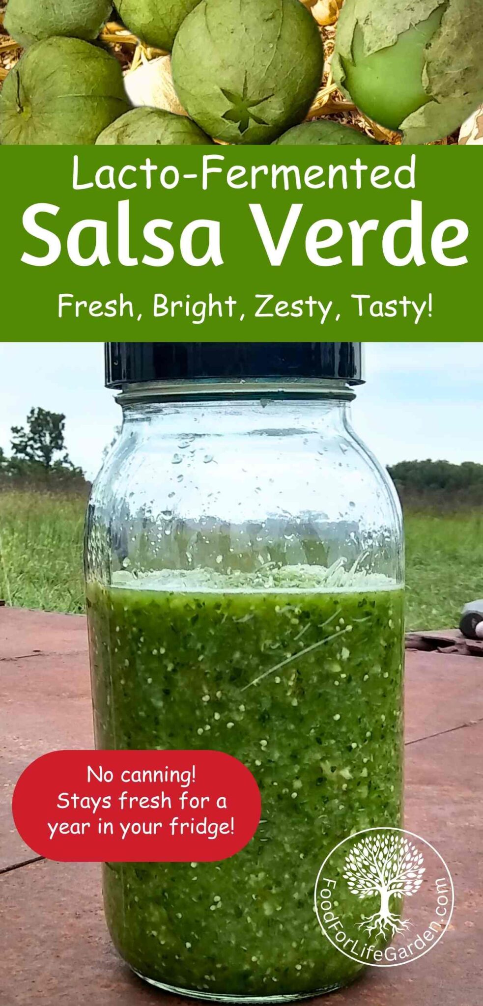 Fermented Salsa Verde - A bright, fresh, zesty tomatillo salsa – Food ...