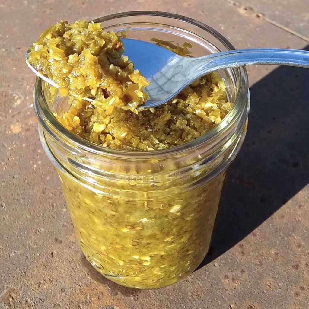 Fermented Chili Paste – ready to use for long term storage – Food For ...