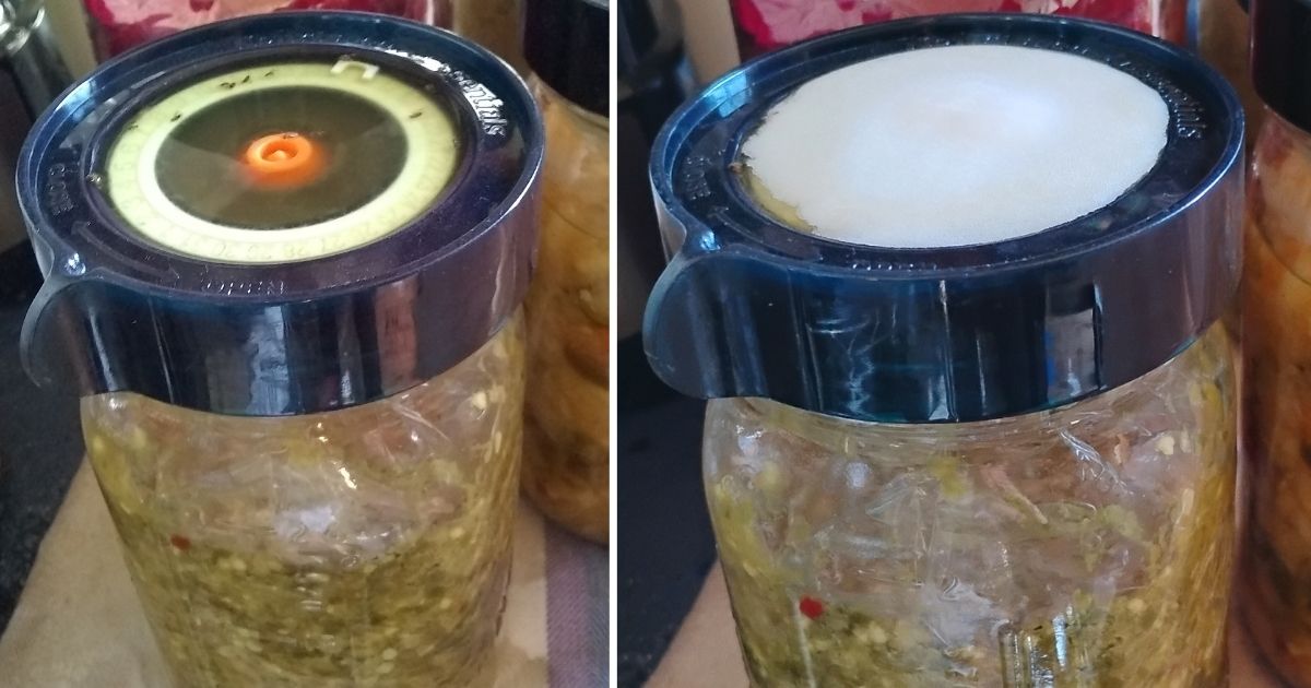 Fermented Chili Paste – ready to use for long term storage – Food For ...