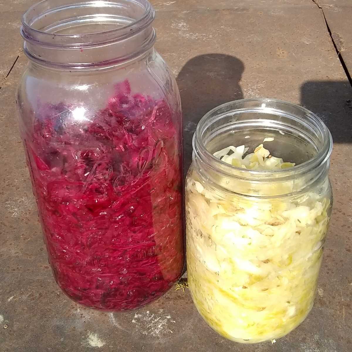 Lacto-Fermented Vegetables, Benefits And Easy Basic Recipes – Food For ...