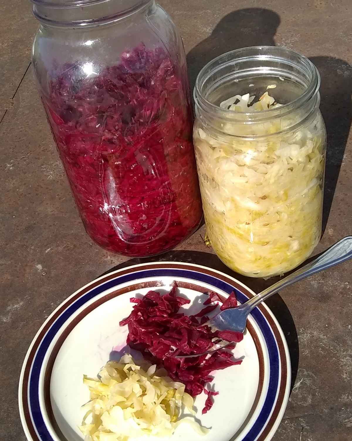 Homemade Lacto Fermented Sauerkraut, famously healthy! – Food For Life ...