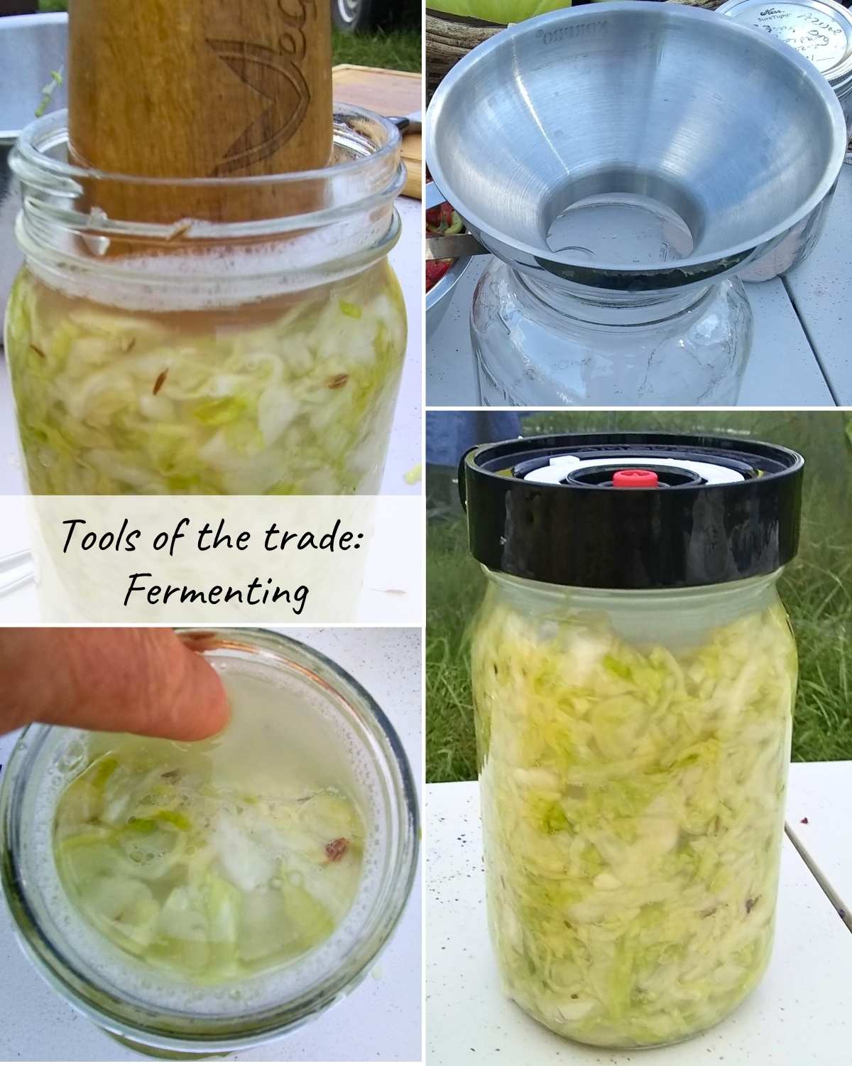 Gift Ideas for gardeners, foragers, and for the homestead – Food For ...