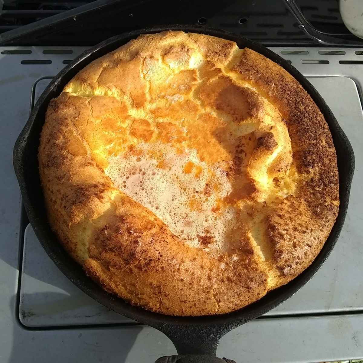 Dutch Baby - an easy oven pancake with endless variations – Food For ...
