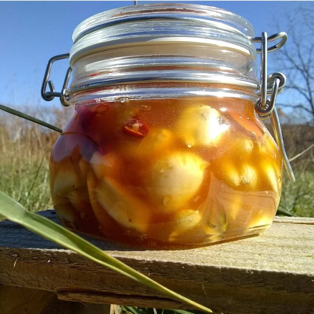 Fermented eggs - make probiotic eggs in a zesty brine – Food For Life ...