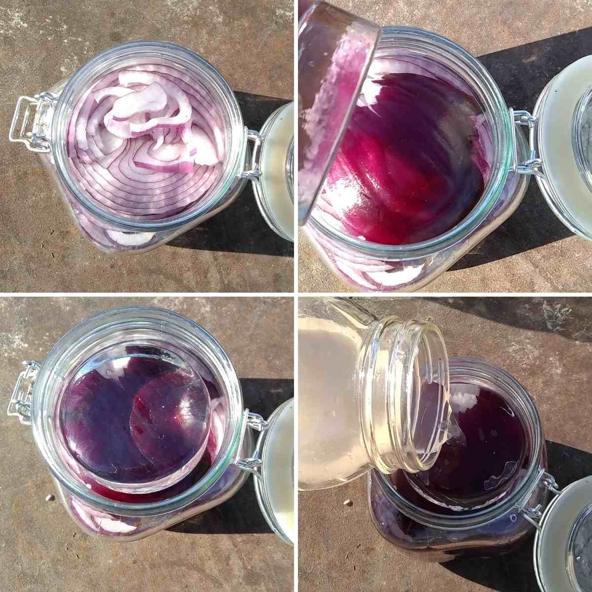Fermented Onions you will love! – Food For Life Garden