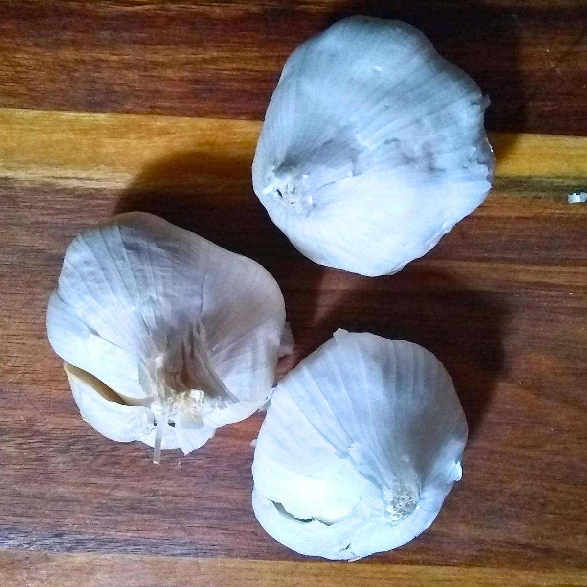 Soak Garlic Before Planting For Bigger Bulbs! – Food For Life Garden