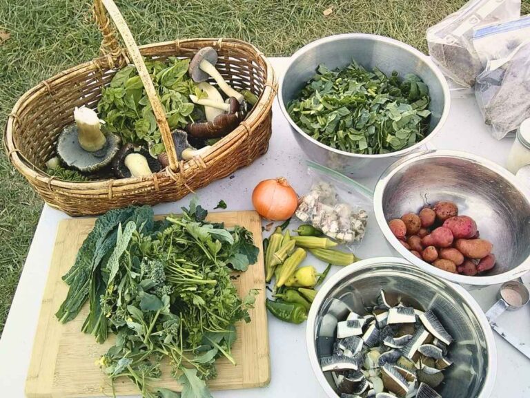 Hearty Mushroom Chowder: Rich, Earthy, and Incredibly Delicious! – Food ...