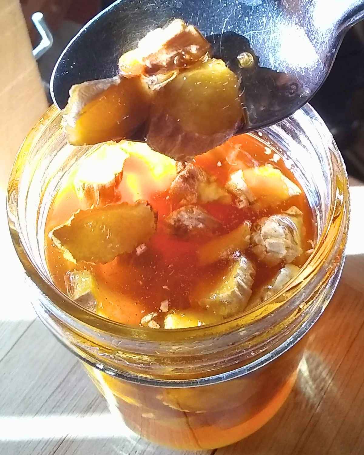 Fermented Ginger Honey, Your Probiotic Power Partners – Food For Life ...