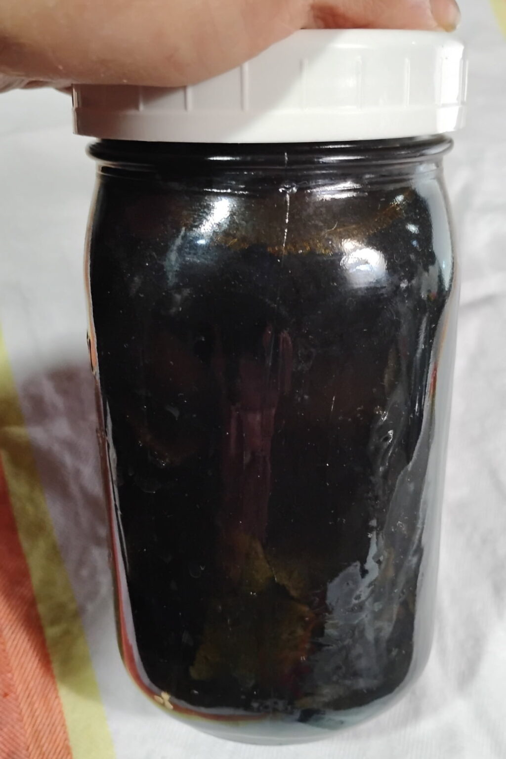 How To Make Black Walnut Tincture From Foraged Walnut Hulls – Food For ...