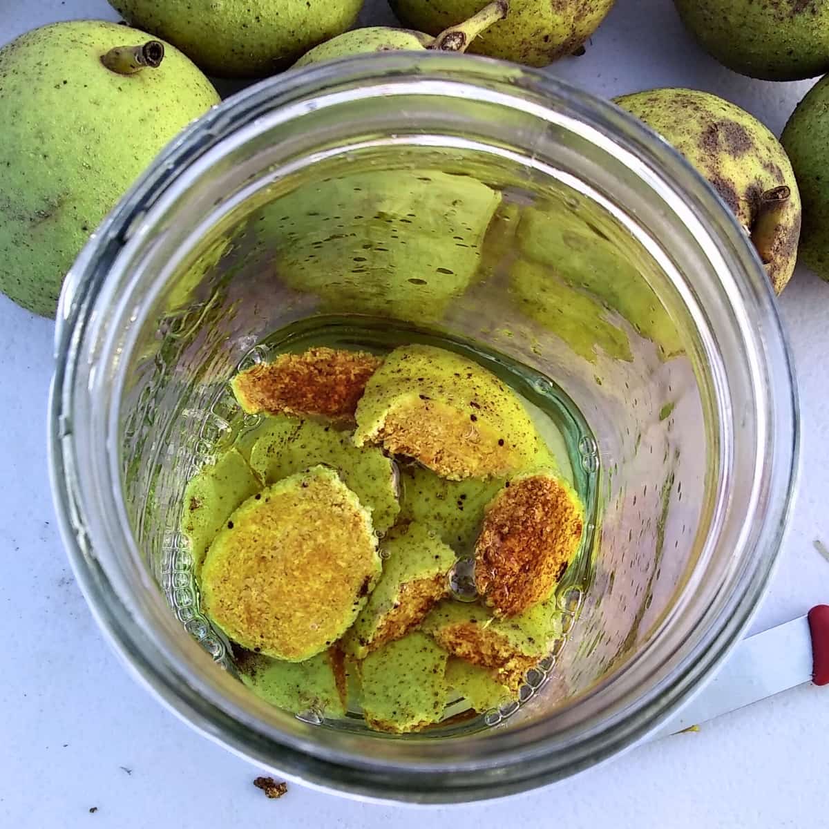 How To Make Black Walnut Tincture From Foraged Walnut Hulls – Food For ...