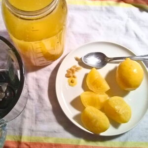 Lemon Confit - Preserved Lemons or Limes With Intense Flavor – Food For ...