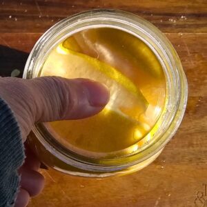 Lemon Confit - Preserved Lemons or Limes With Intense Flavor – Food For ...