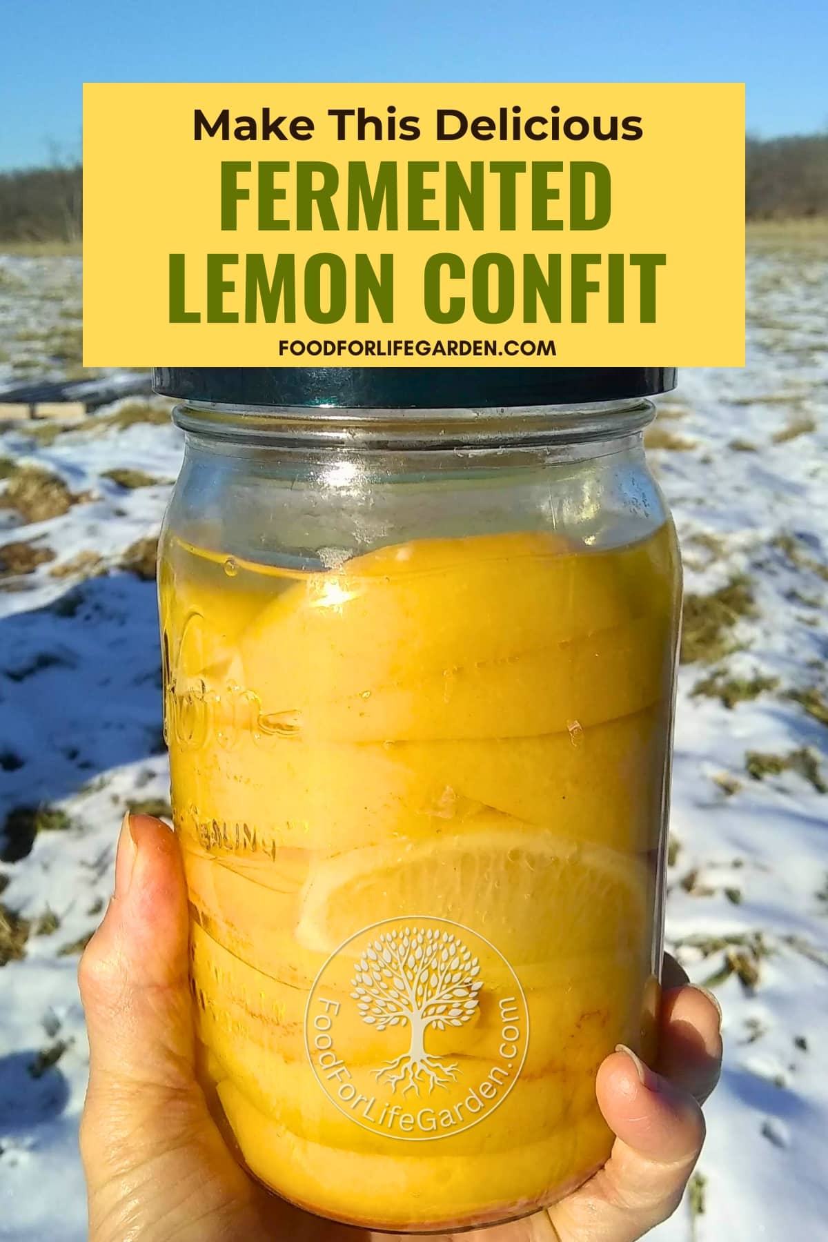 Lemon Confit - Preserved Lemons or Limes With Intense Flavor – Food For ...