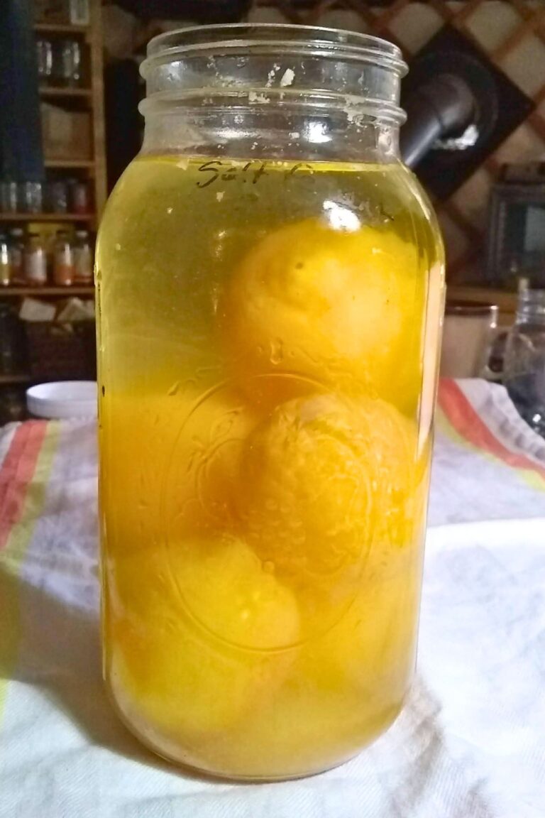 Lemon Confit - Preserved Lemons or Limes With Intense Flavor – Food For ...