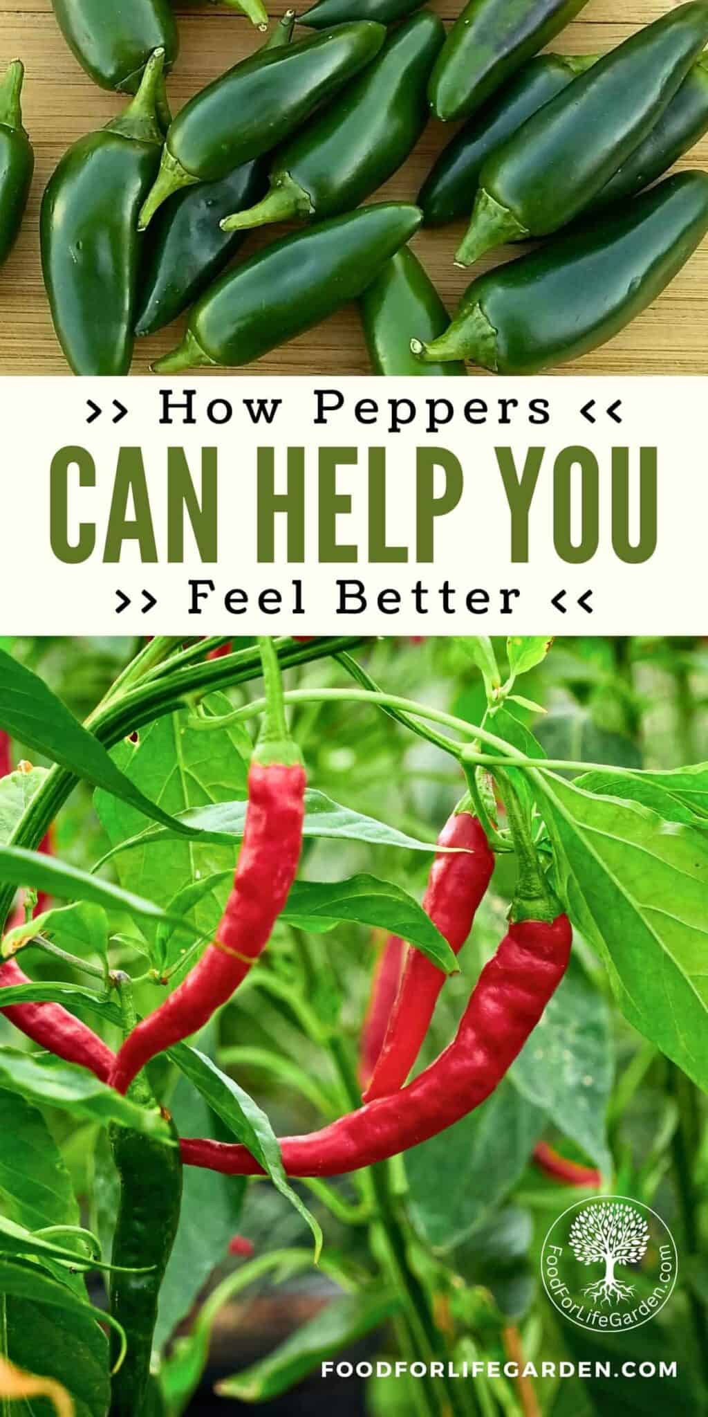 Pepper Uses And Benefits - How The Capsicums Can Help You – Food For ...