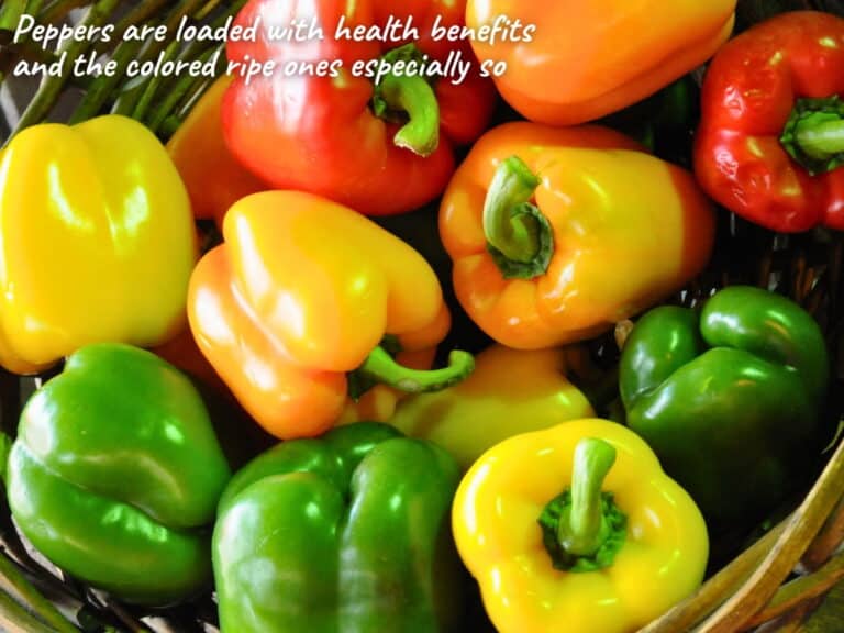 Pepper Uses And Benefits - How The Capsicums Can Help You – Food For ...