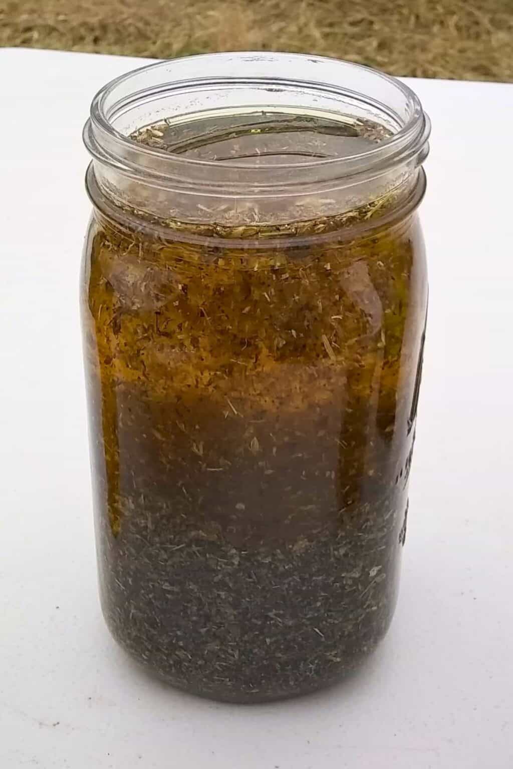 Lemon Balm Salve Recipe And Its Awesome Benefits – Food For Life Garden