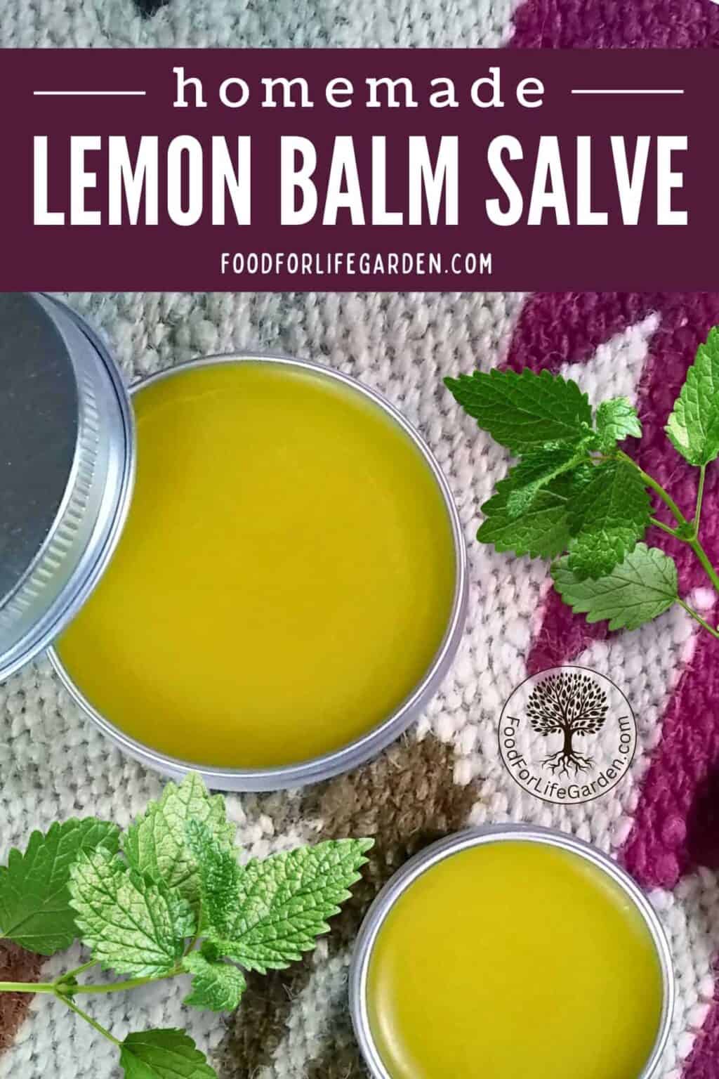 Lemon Balm Salve Recipe And Its Awesome Benefits – Food For Life Garden