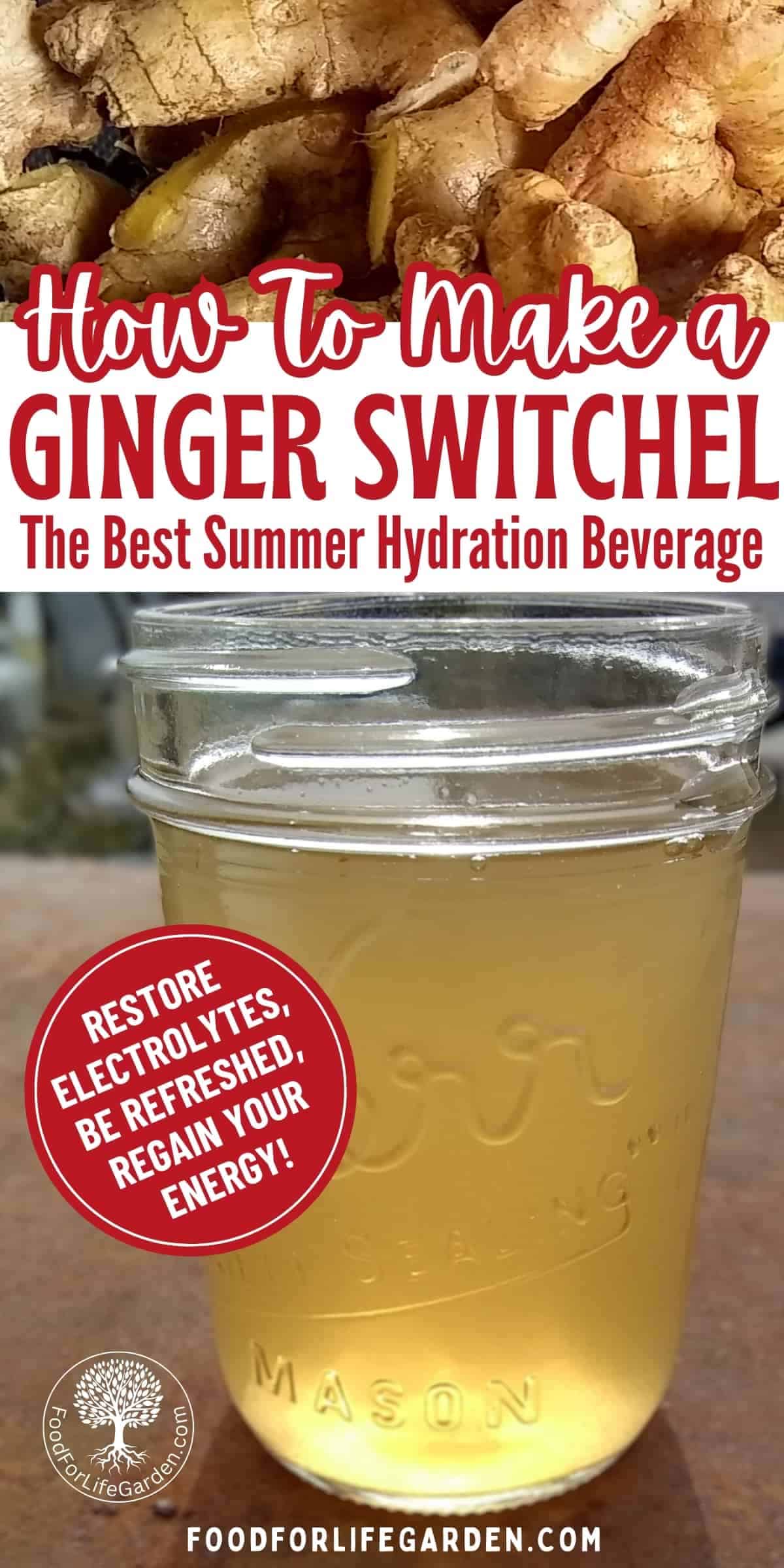 Switchel Recipe - Refreshing Hydration For Hot Weather And Outdoor ...