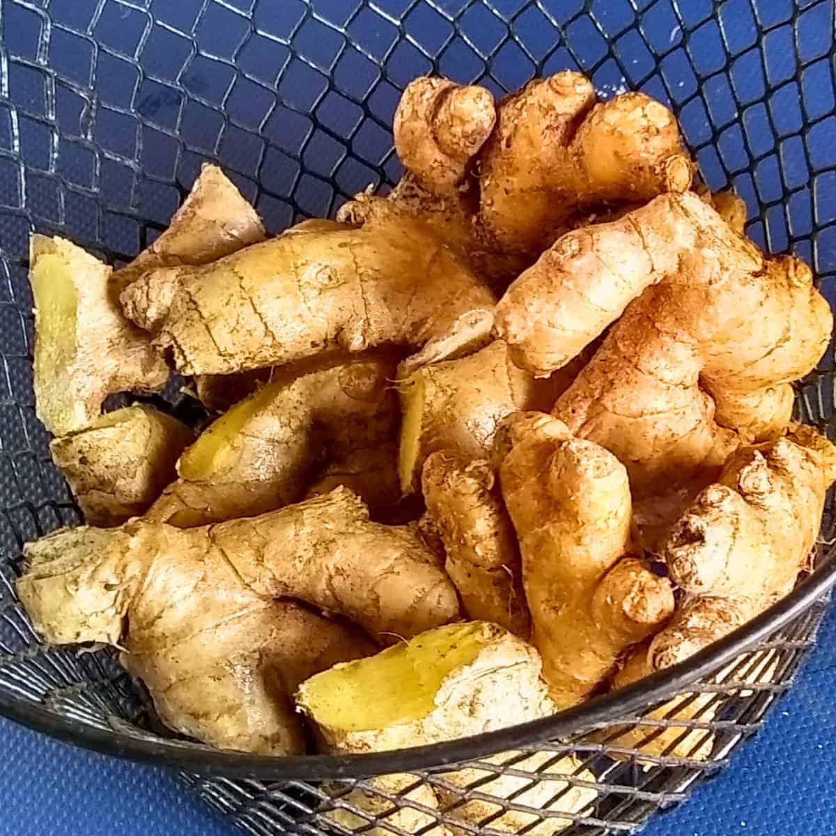 Growing Ginger Is Super Fun, Easy, And Rewarding! – Food For Life Garden