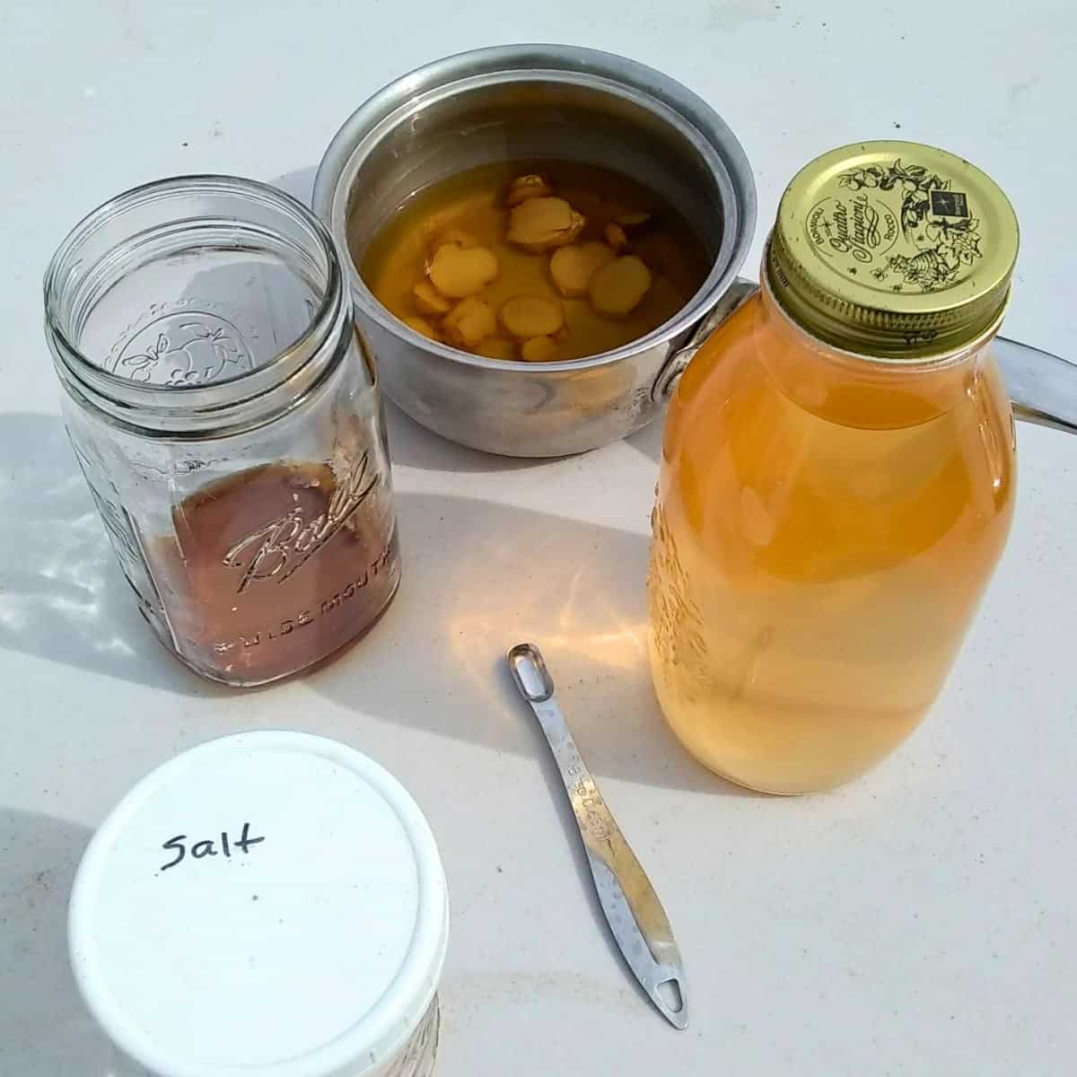 Switchel Recipe - Refreshing Hydration For Hot Weather And Outdoor ...