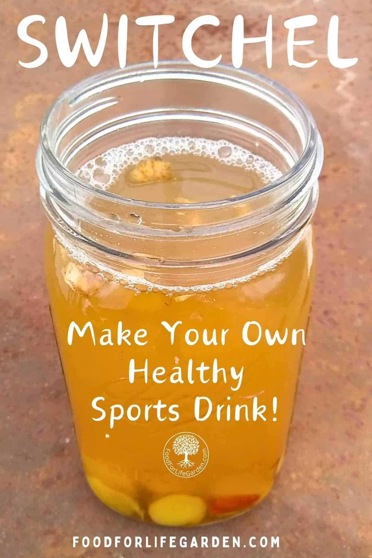 Switchel Recipe - Refreshing Hydration For Hot Weather And Outdoor ...