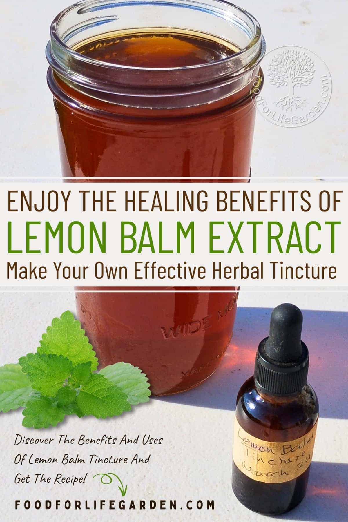 Make A Fantastic And Effective Fresh Lemon Balm Tincture – Food For ...