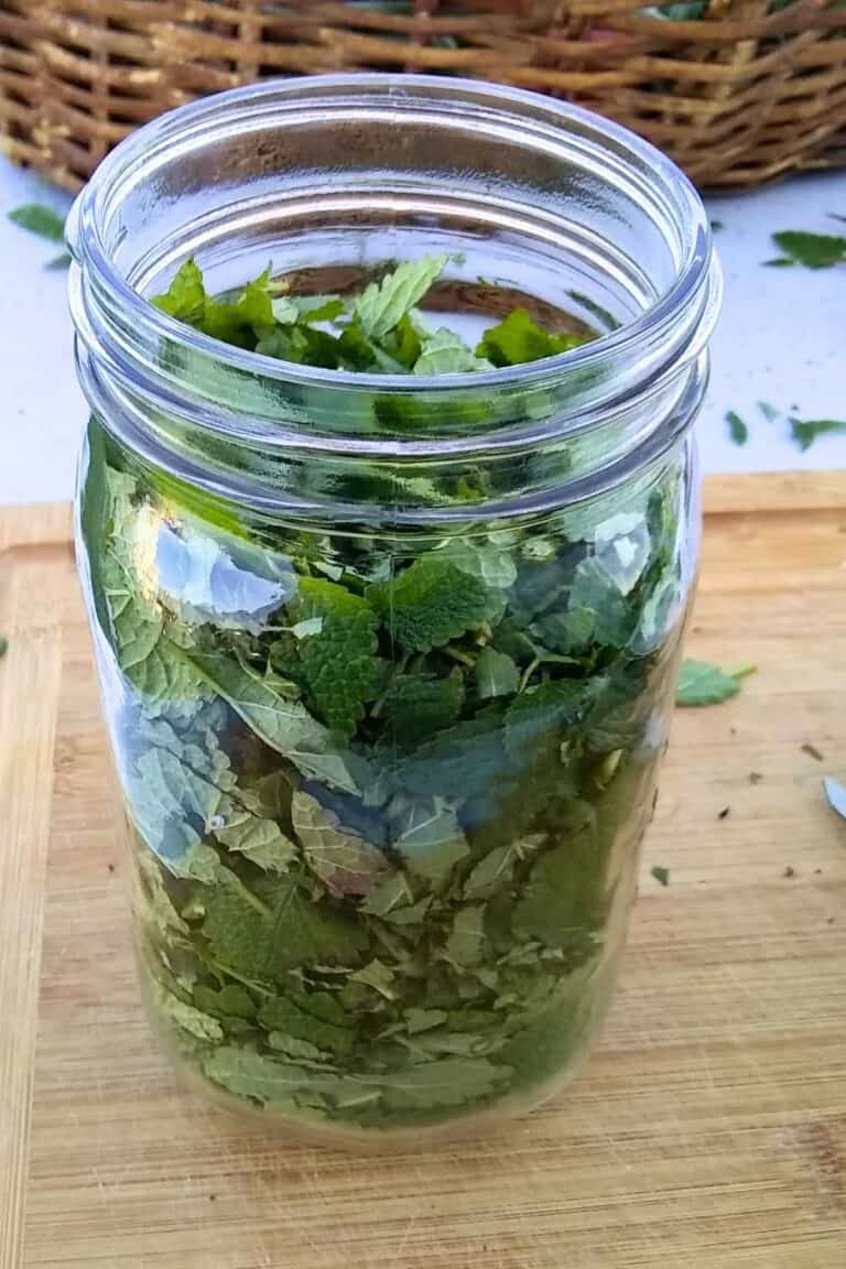 Make A Fantastic And Effective Fresh Lemon Balm Tincture – Food For ...