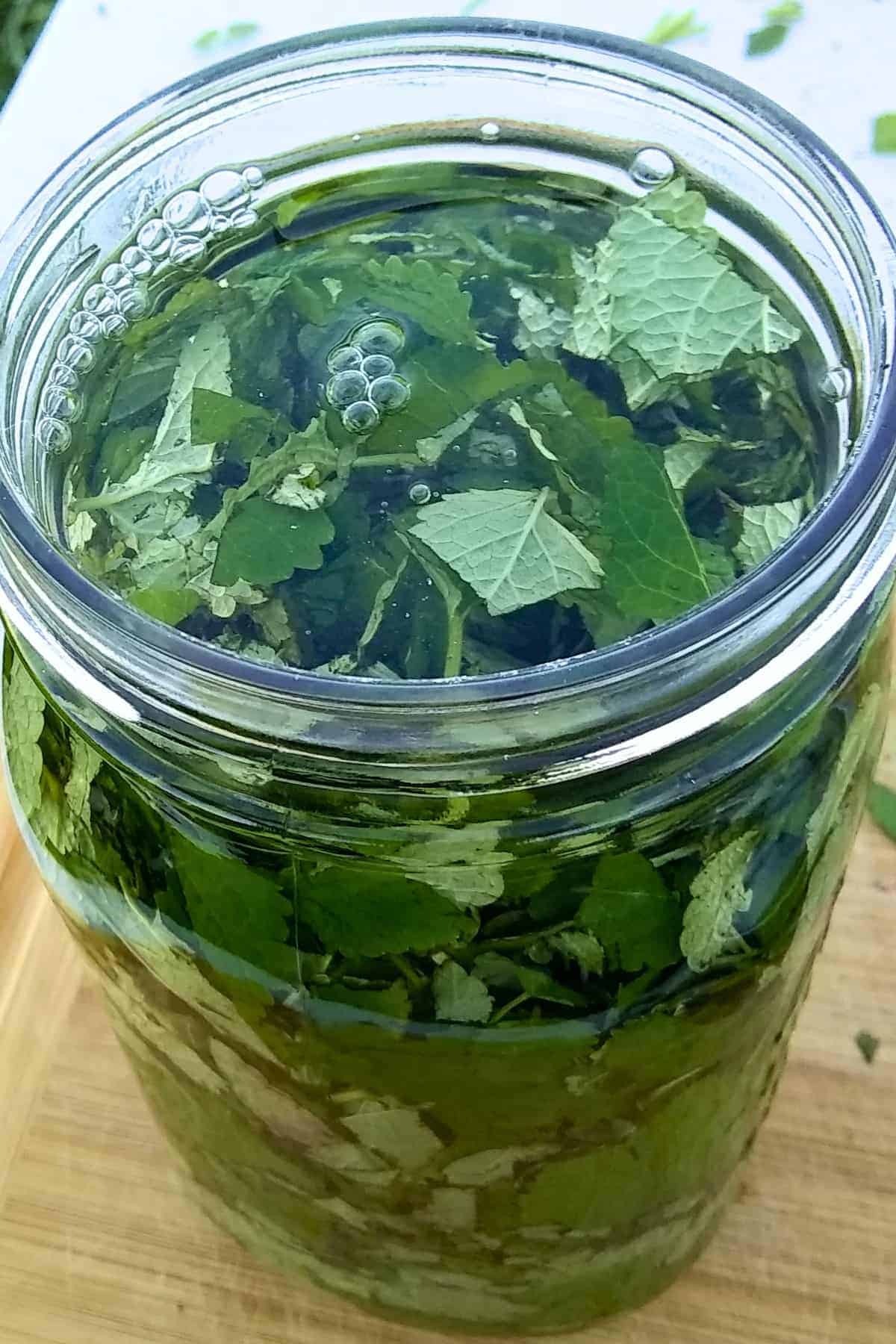 Make A Fantastic And Effective Fresh Lemon Balm Tincture – Food For ...