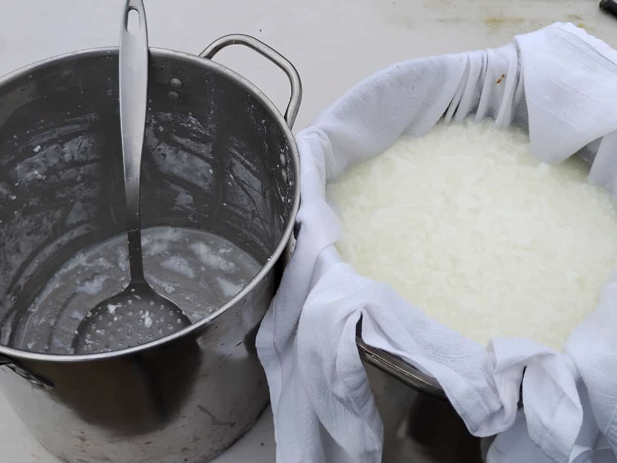 How To Make Awesome German Quark Cheese Or Topfen – Food For Life Garden