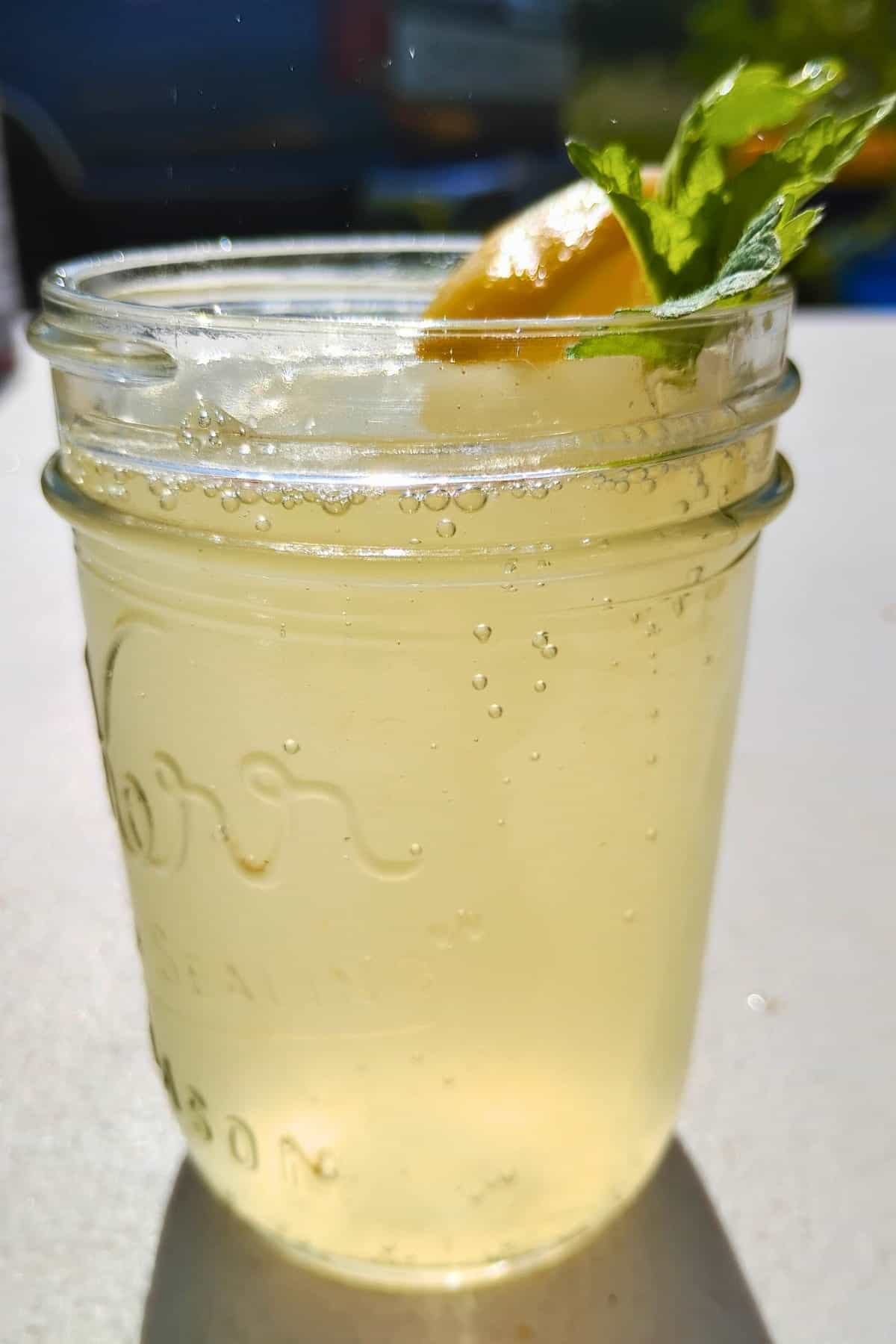 How to make Probiotic Fermented Lemonade Soda – Food For Life Garden