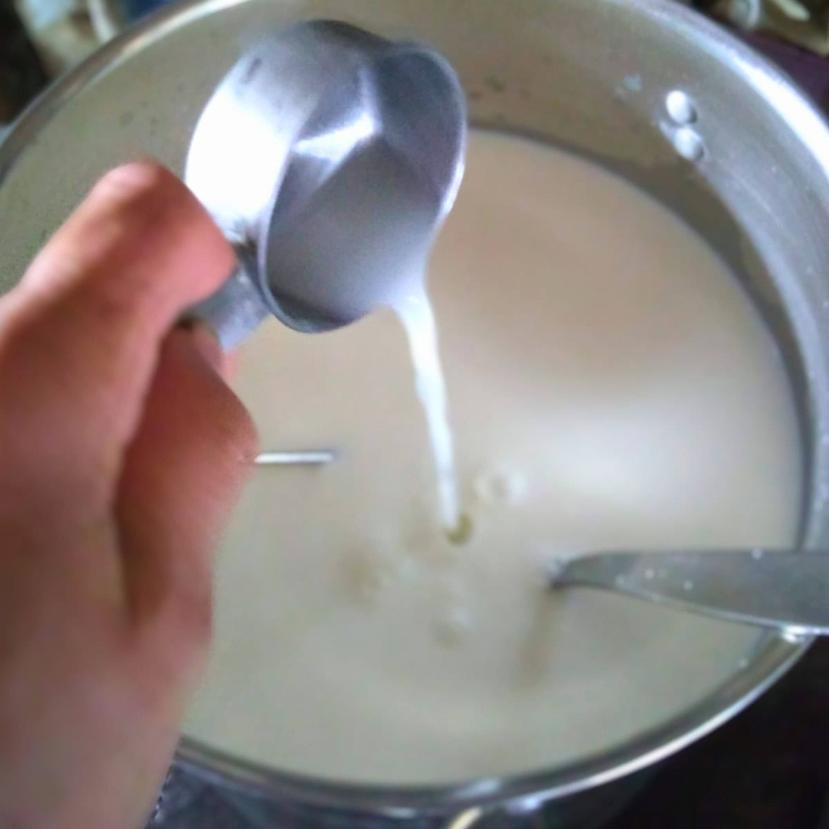 How To Make Awesome German Quark Cheese Or Topfen – Food For Life Garden