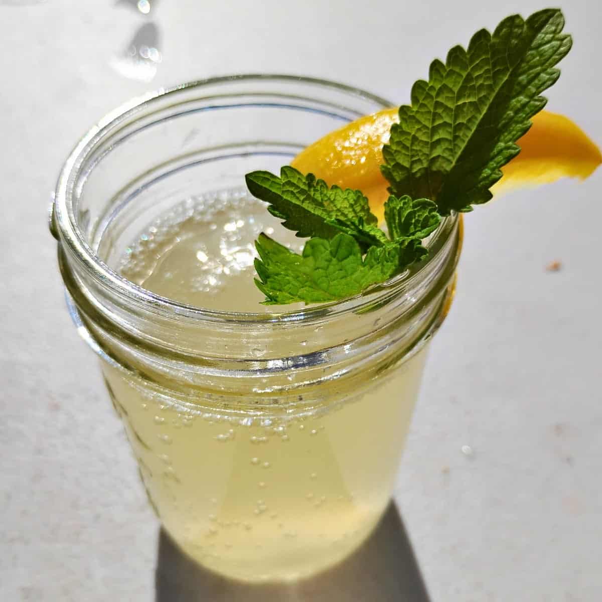 How to make Probiotic Fermented Lemonade Soda – Food For Life Garden