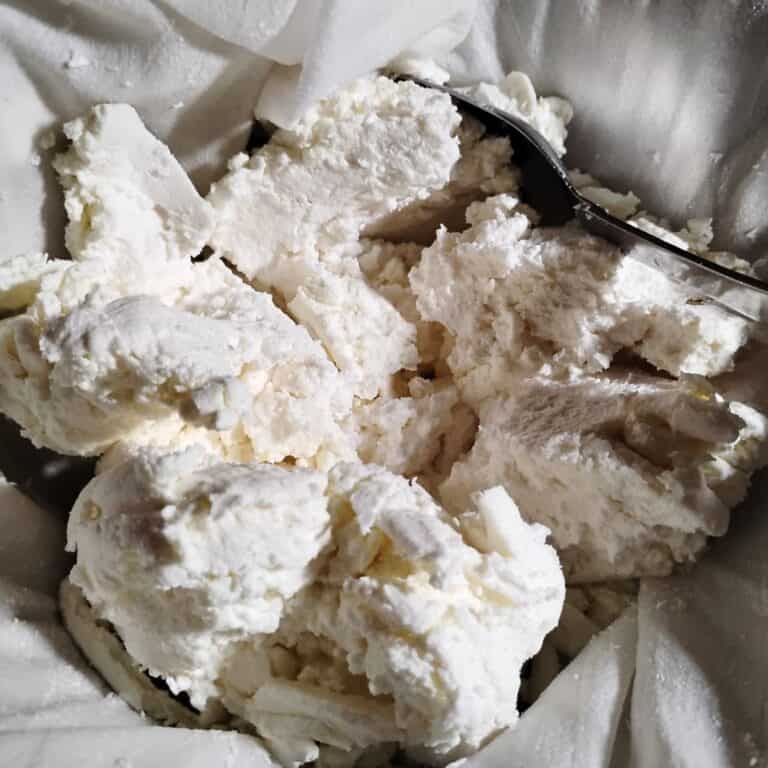 How To Make Awesome German Quark Cheese Or Topfen – Food For Life Garden