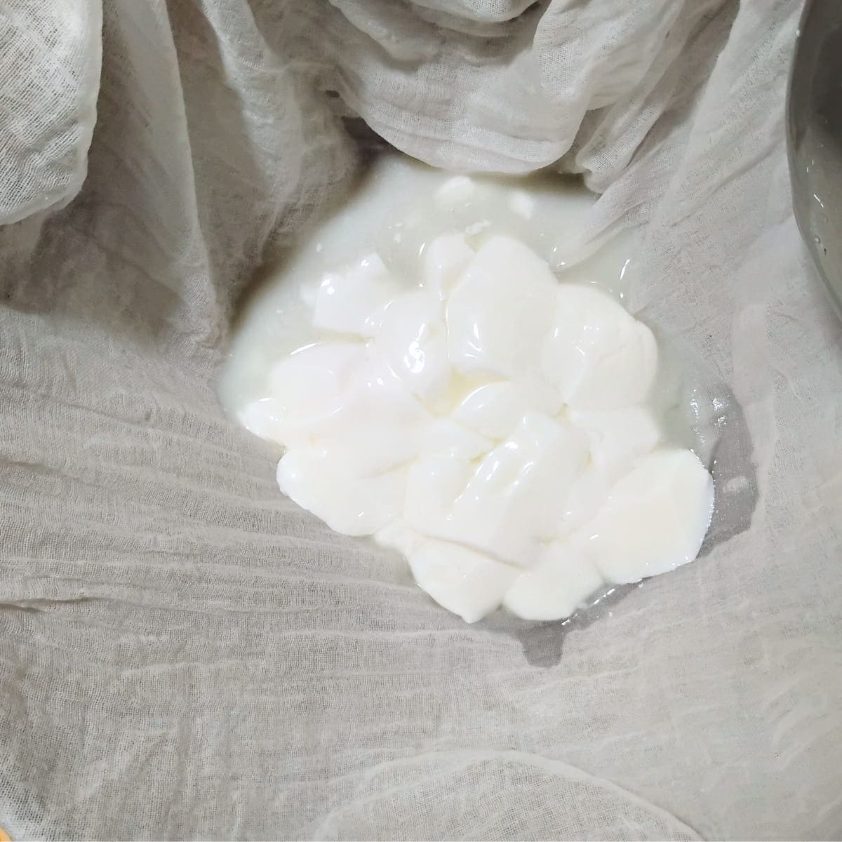 How to Make Brine-Aged Sirene Cheese, Easy Step-by-Step Guide – Food ...